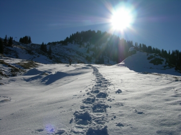 Schneeschuhwandern und Iglubau